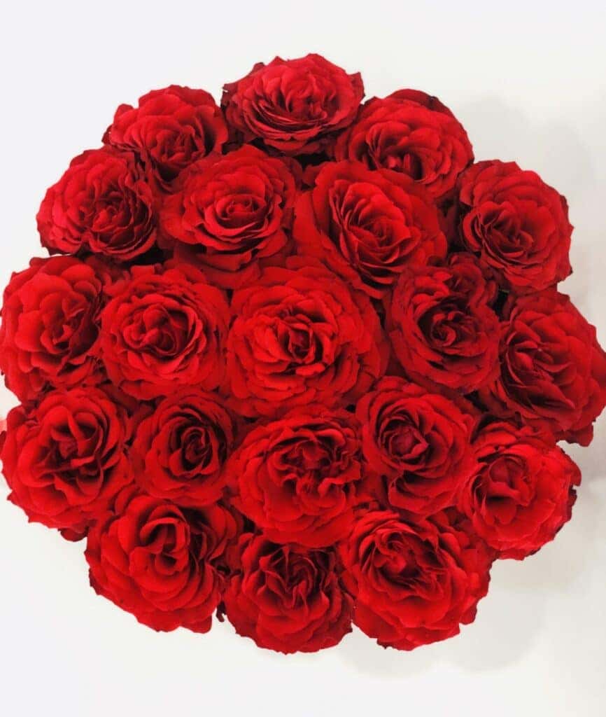 Gorgeous Rose Box - The Gorgeous Flower Company