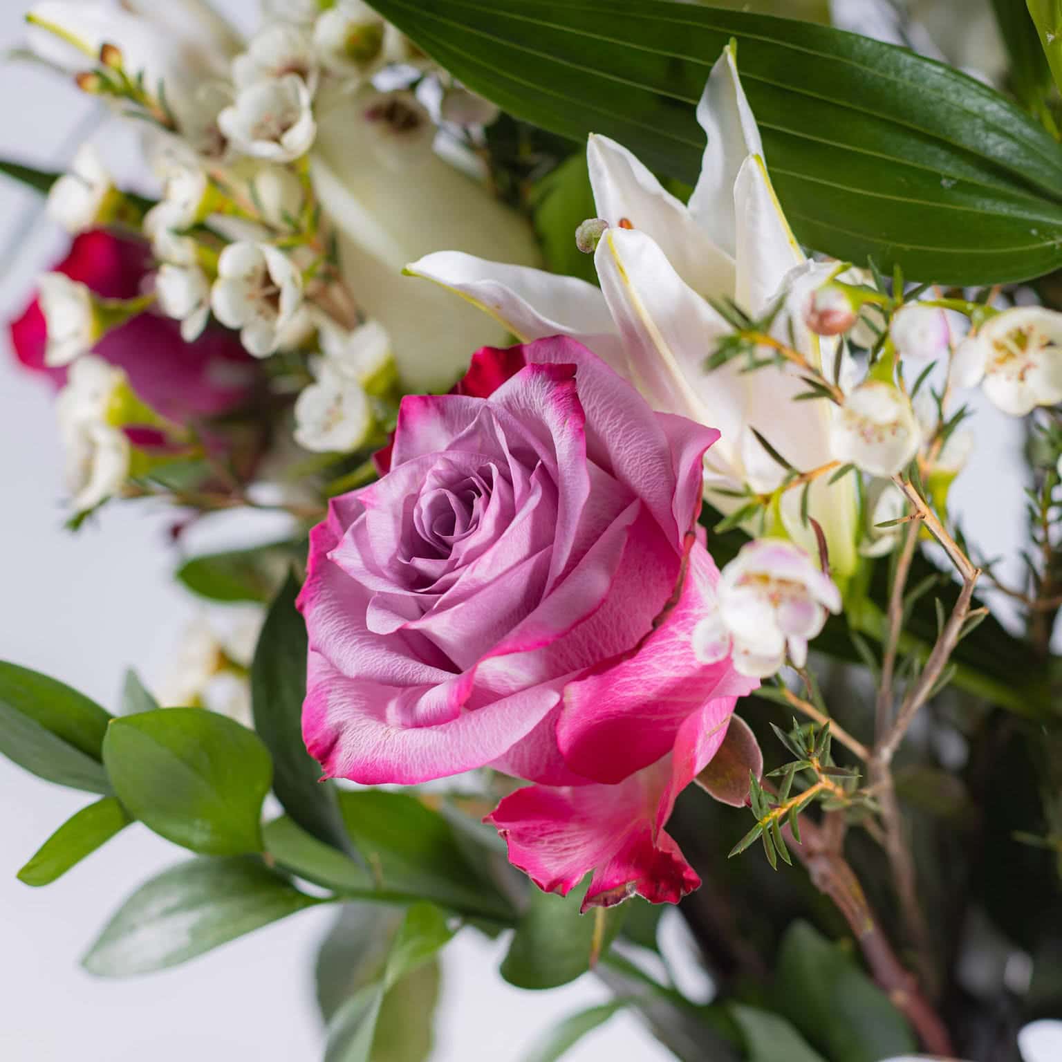 Copacabana – The Gorgeous Flower Company