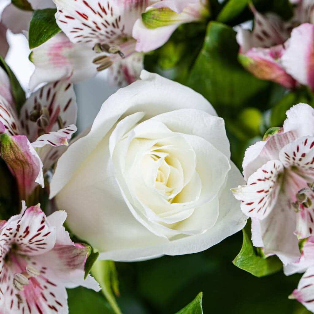 Manda Bay Flower Bouquets | The Gorgeous Flower Co Dubai