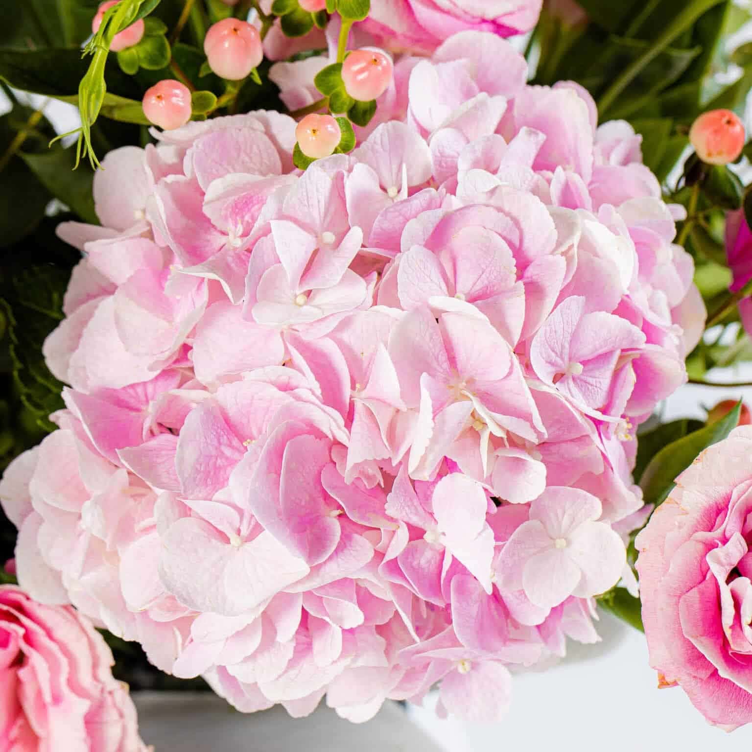 Champagne Beach Pink with Hydrangea - The Gorgeous Flower Company
