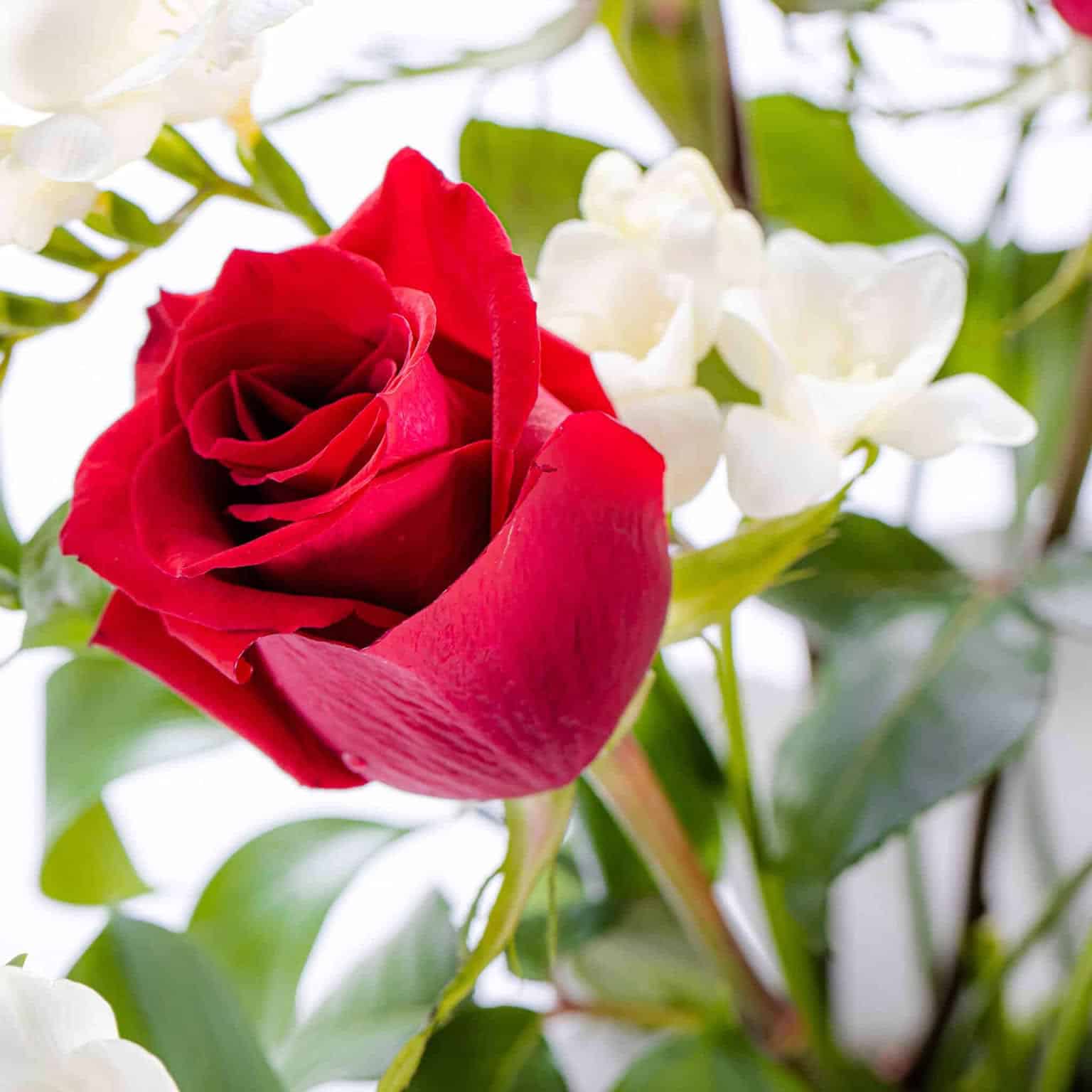 White Heart Box- Red Roses - The Gorgeous Flower Company