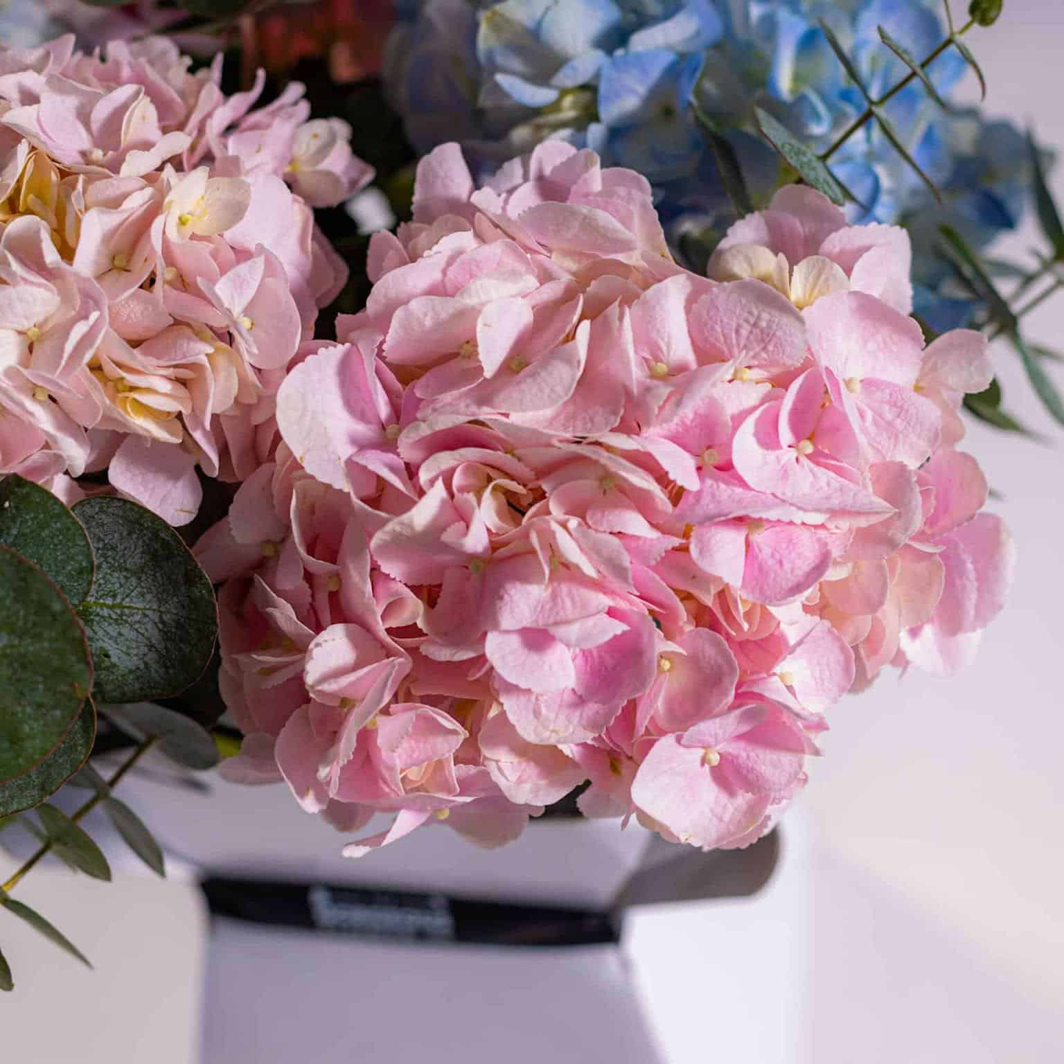 Bluey Beach - The Gorgeous Flower Company