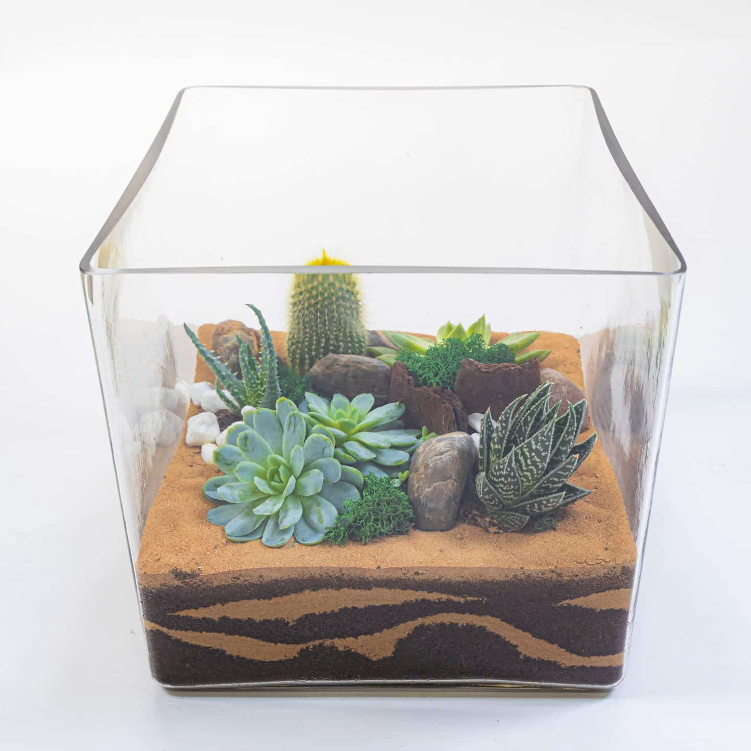 Square Terrarium Garden - The Gorgeous Flower Company