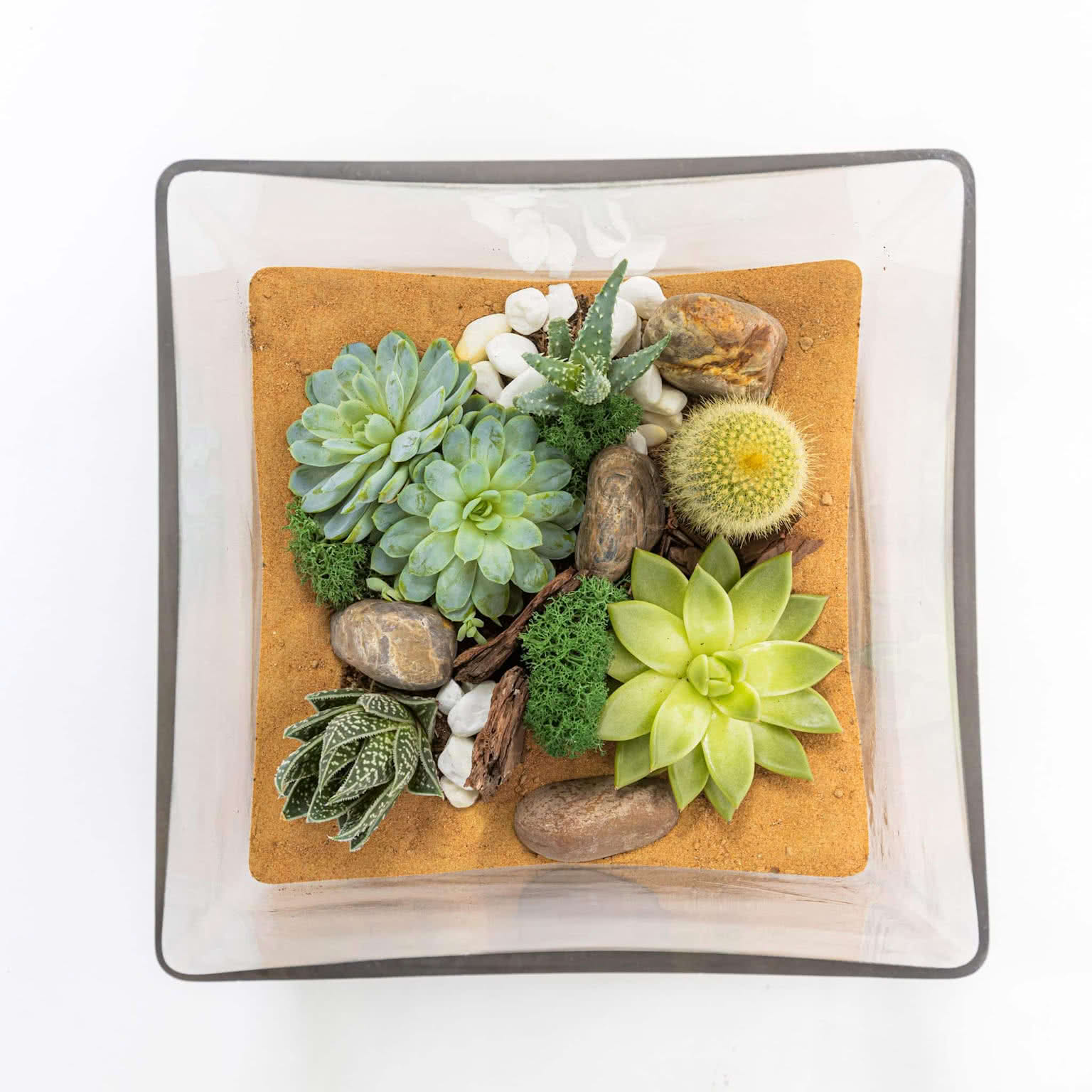 Square Terrarium Garden - The Gorgeous Flower Company