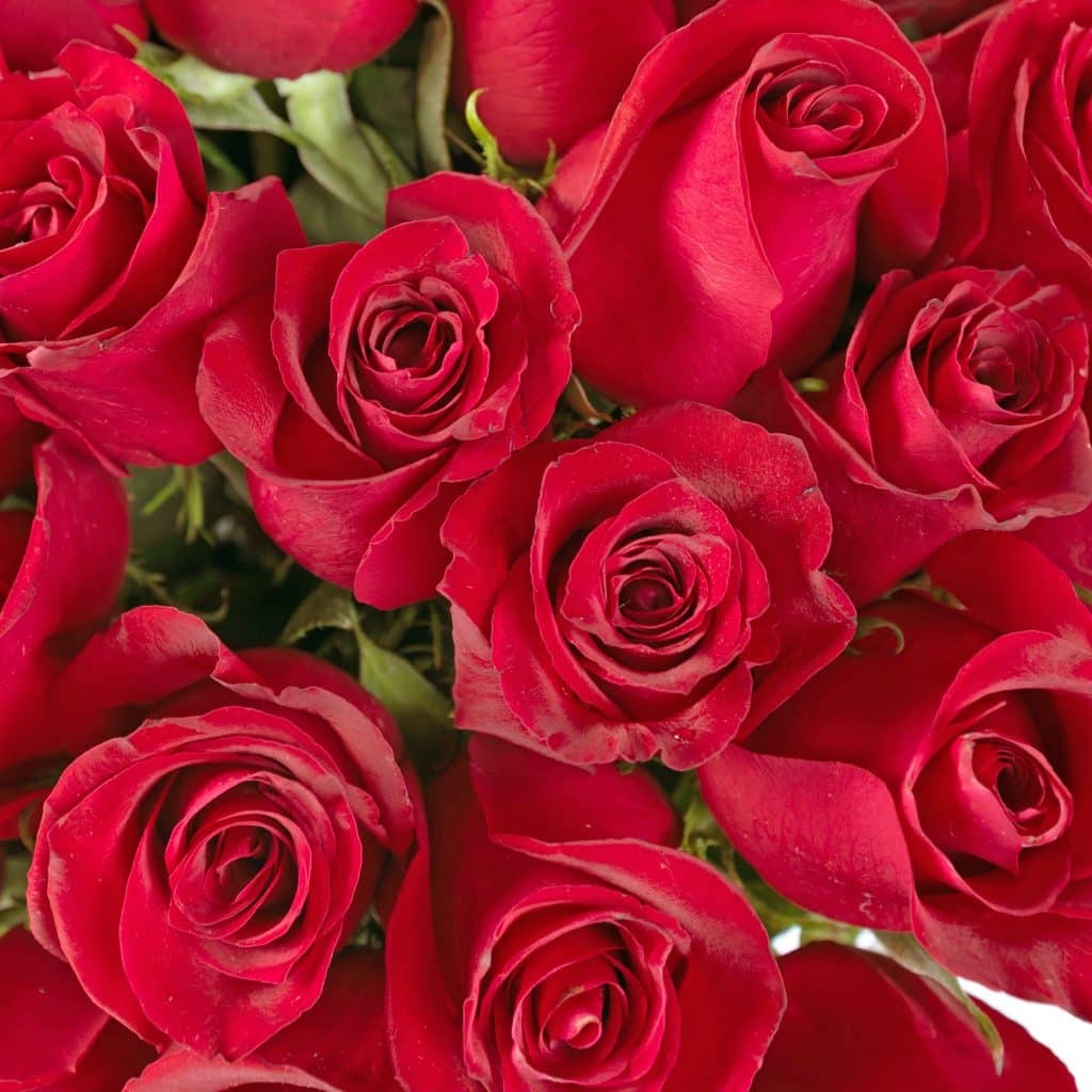 Black Heart Box- Red Roses - The Gorgeous Flower Company