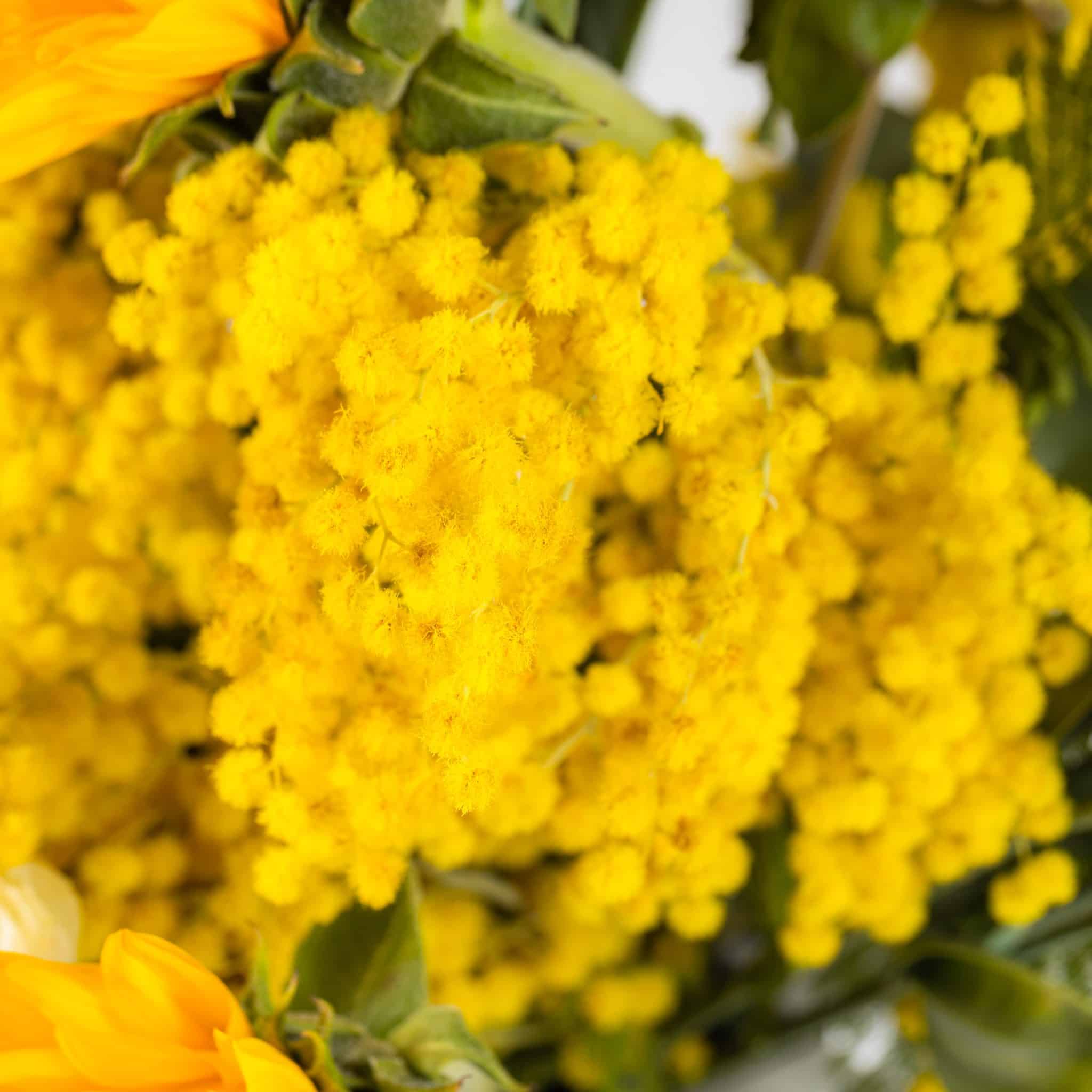 Eleanor Roosevelt - The Gorgeous Flower Company