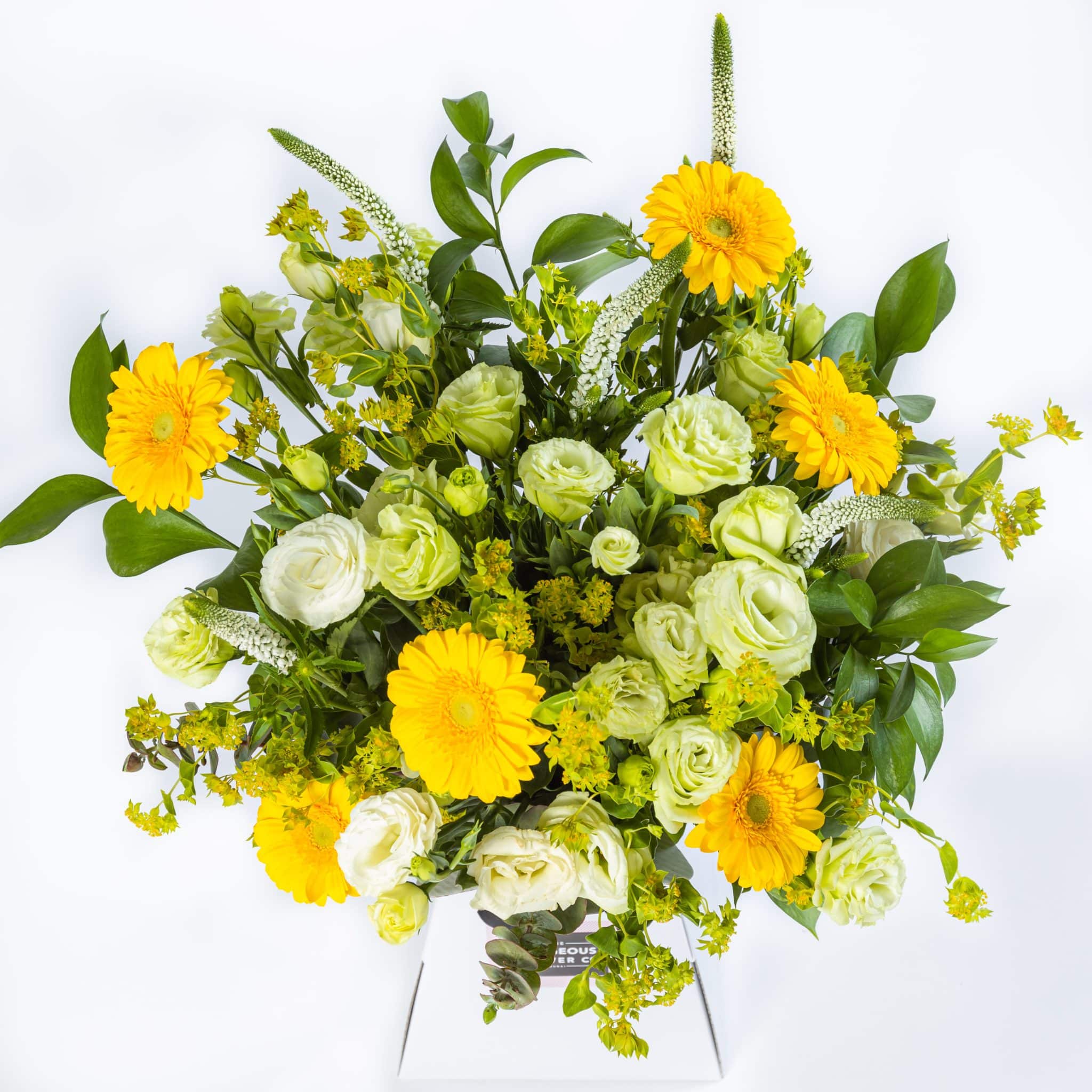 Queen Elizabeth II - The Gorgeous Flower Company