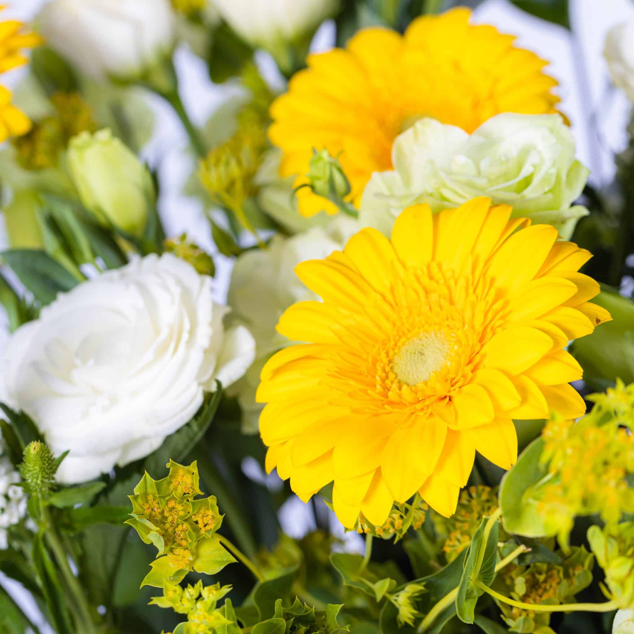 Queen Elizabeth II - The Gorgeous Flower Company