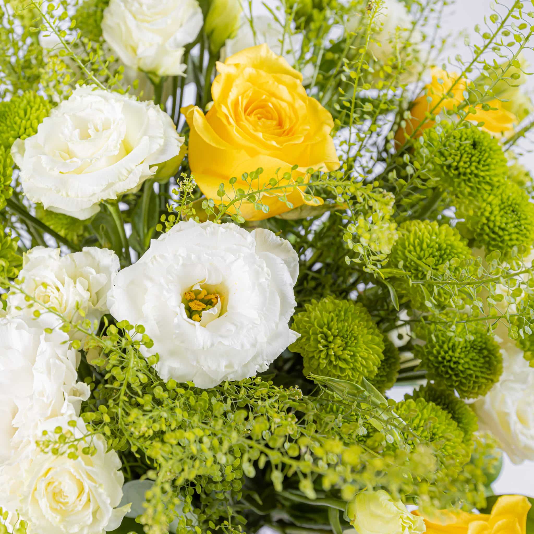 Henley Beach - The Gorgeous Flower Company