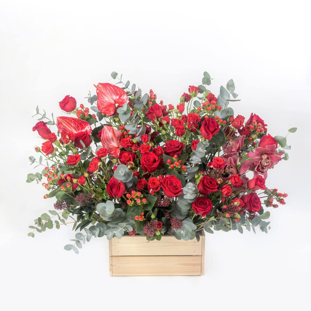 Raspberry Ripple - The Gorgeous Flower Company