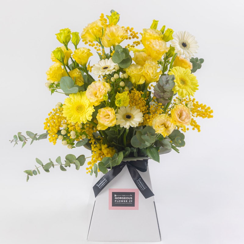 back products shop by occasion women s day mimosa bay