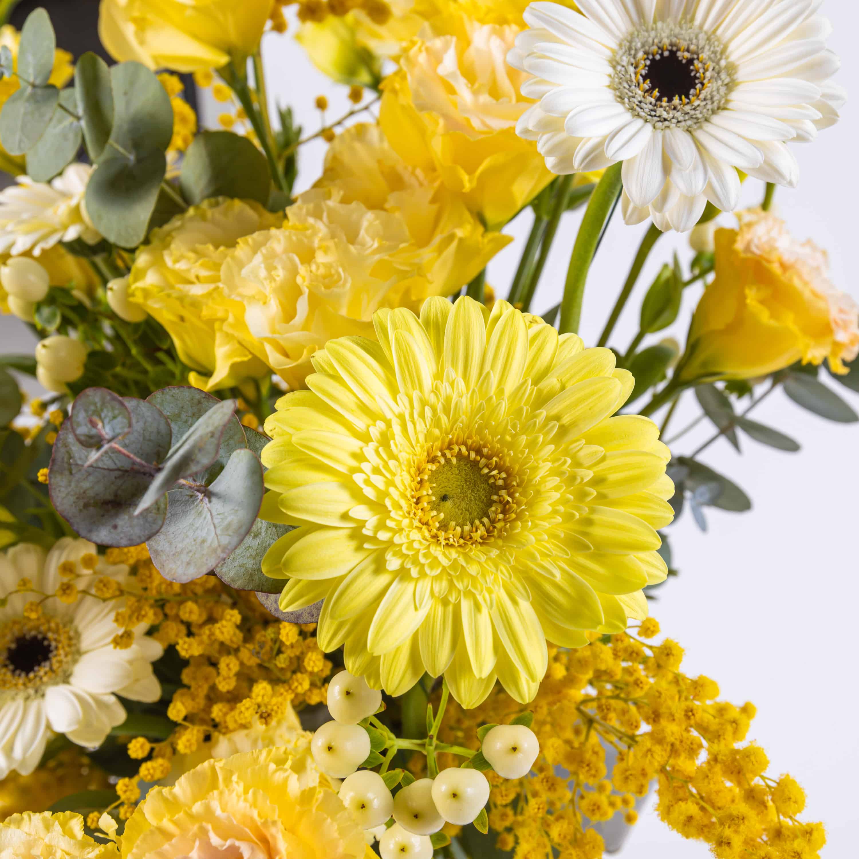 Mimosa Bay - The Gorgeous Flower Company