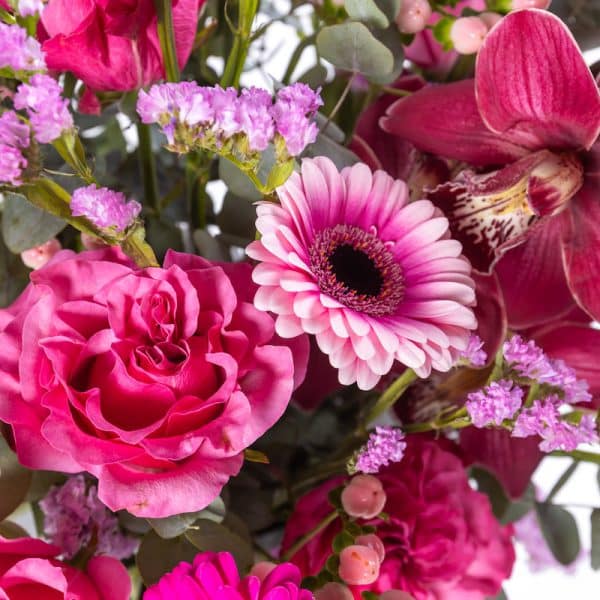 Mirabel Cove - The Gorgeous Flower Company