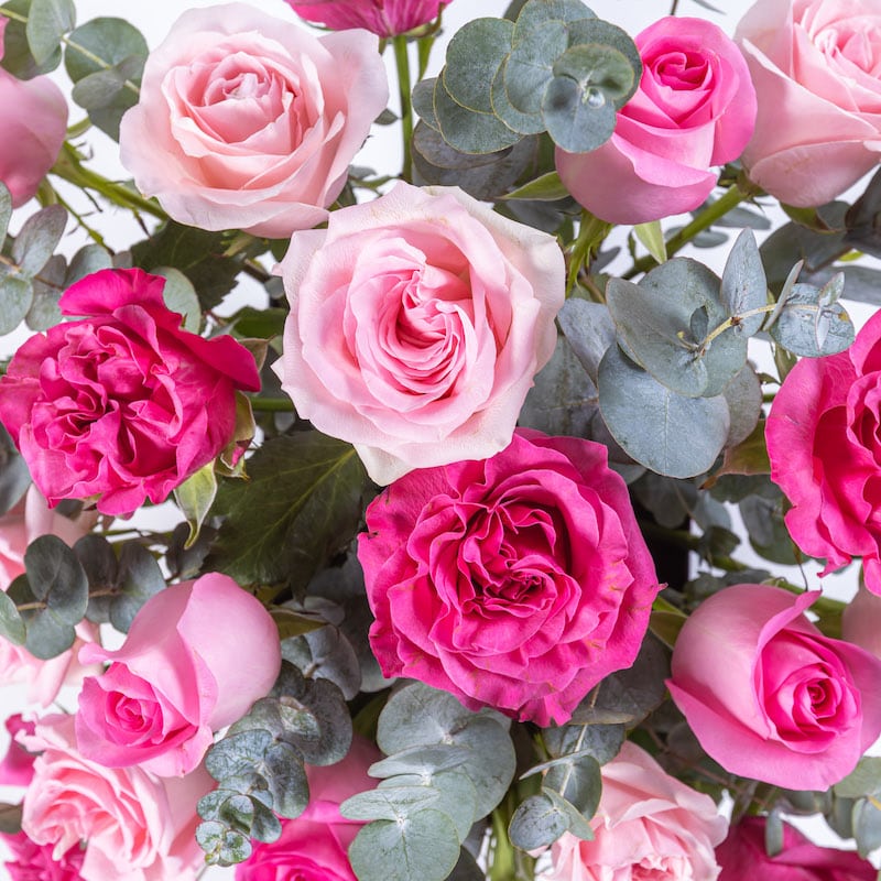 Pink Rose Bay Arrangement - The Gorgeous Flower Company