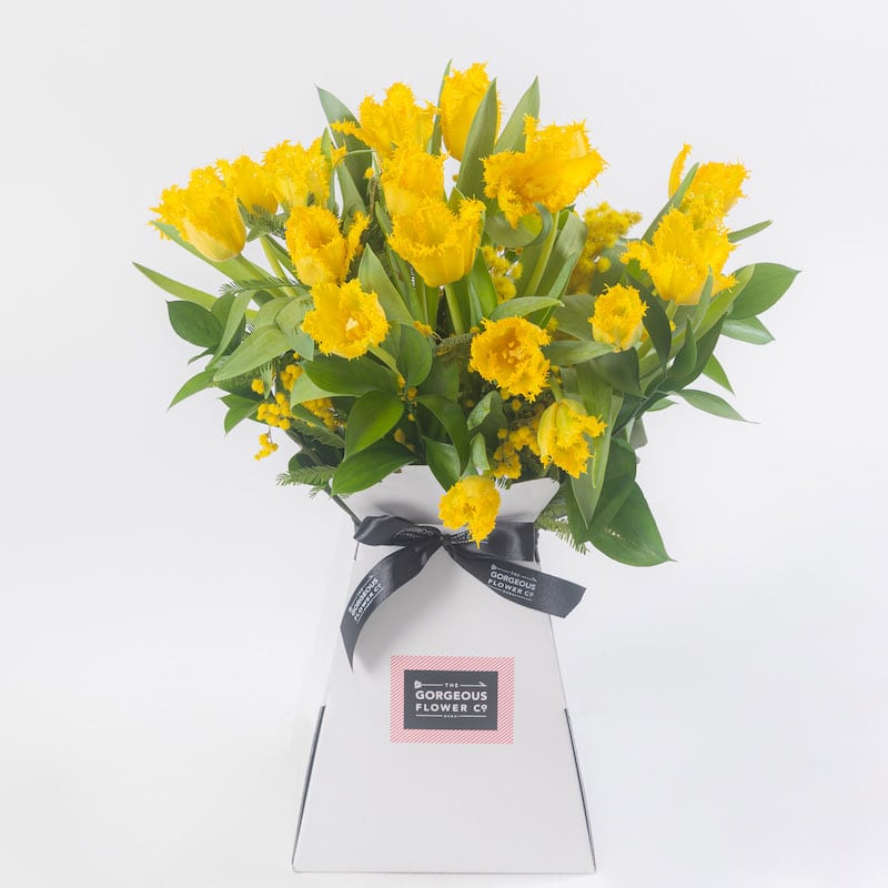 Mimosa Bay - The Gorgeous Flower Company